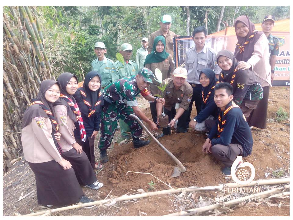 Perhutani Perhutani Bersama Stakeholder Lakukan Penanaman Di Sempadan