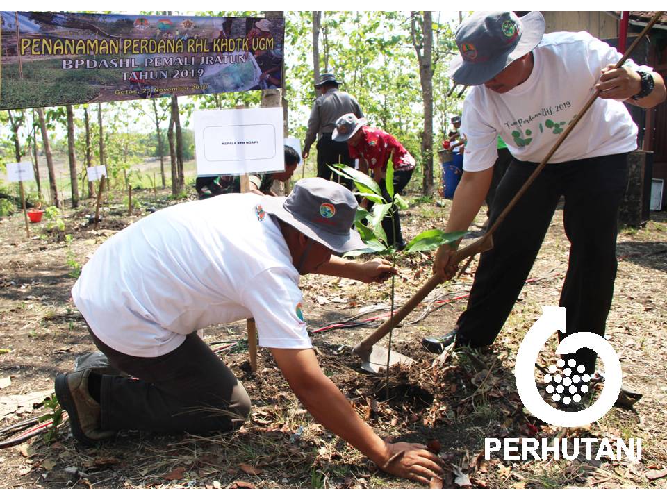 Perhutani Perhutani bersama BPDASHL Lakukan Penanaman Perdana RHL di Kawasan Hutan Ngawi