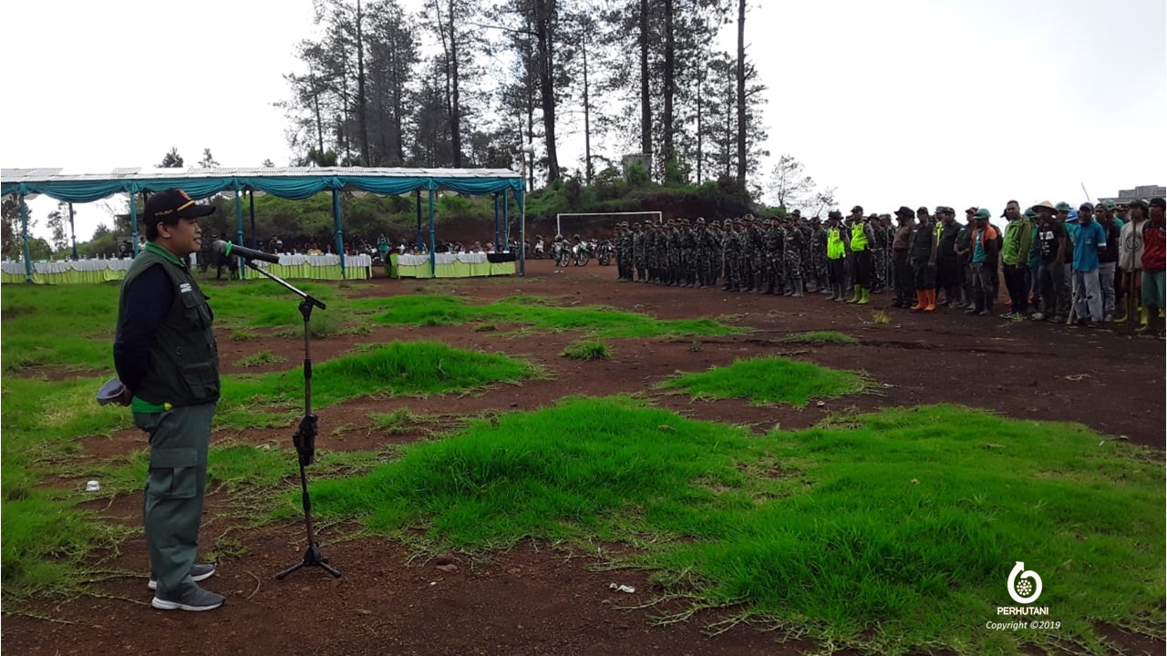 Perhutani Perhutani Gandeng Stakeholder Reboisasi Dataran Tinggi Dieng Perhutani Perhutani Gandeng Stakeholder Reboisasi Dataran Tinggi Dieng