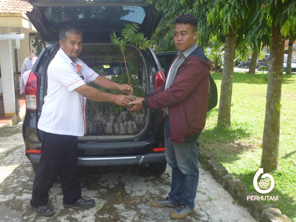 Perhutani Perhutani Berikan Bantuan Bibit Suren Kepada Mahasiswa STHP ...