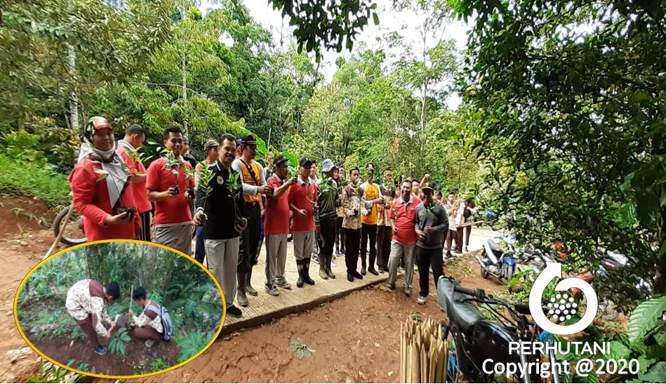 Perhutani Perhutani Ajak Pelajar SMPN 2 Dagangan Tanam Pohon di Madiun