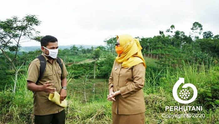 Perhutani Perhutani Gandeng Gerakan Pramuka Kwarcab Lumajang Kelola Bumi Perkemahan