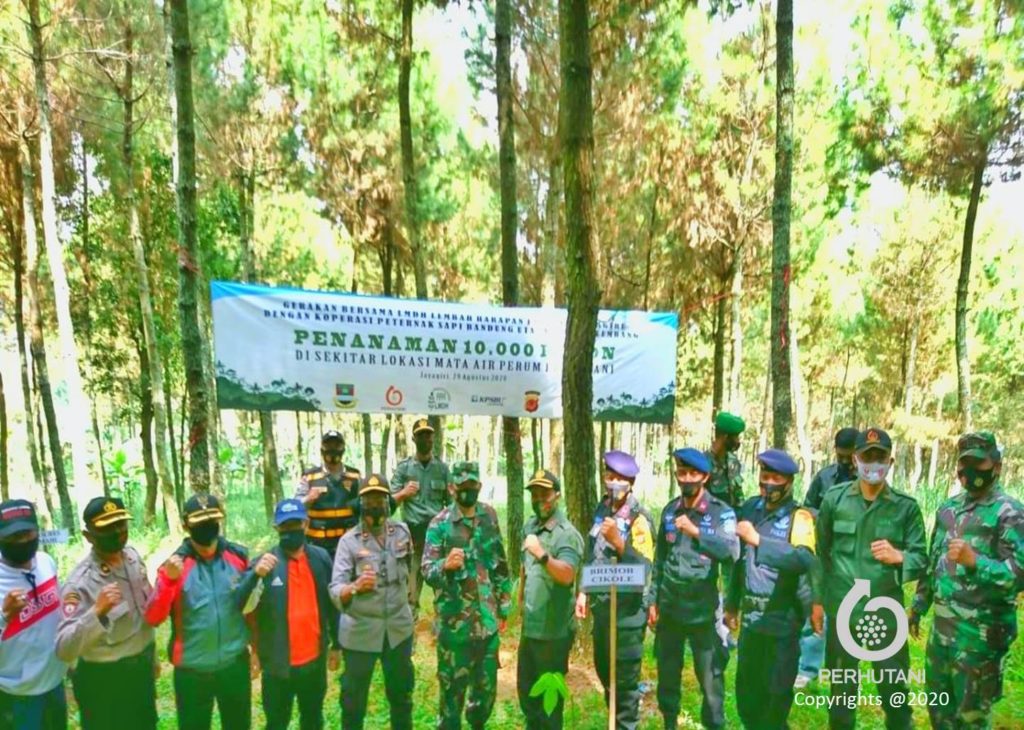 Perhutani Perhutani Bersama Stakeholder Tanam 10 Ribu Bibit Pohon di Bandung - Perhutani
