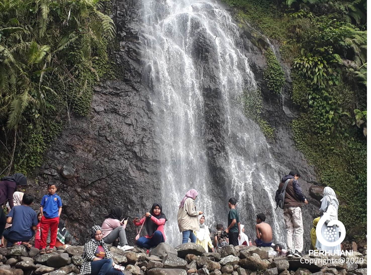 Perhutani Keindahan Curug Cijalu Sedot Perhatian Banyak Wisatawan ...