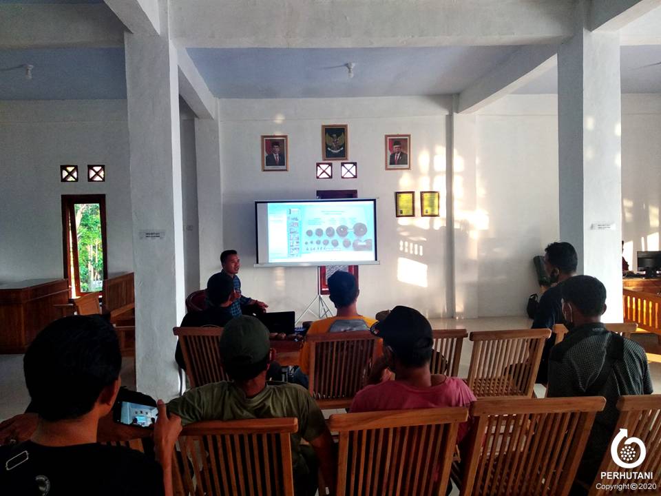 Perhutani Perhutani Bantu LMDH Bayangkaki Budidaya Porang di Madiun Perhutani Perhutani Bantu LMDH Bayangkaki Budidaya Porang di Madiun