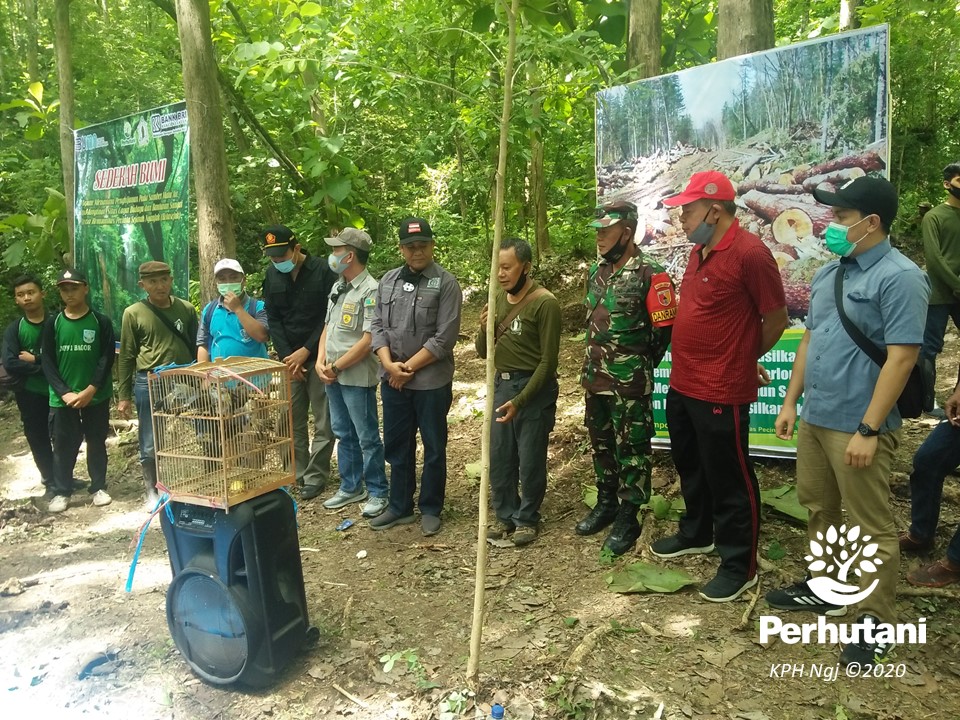 Perhutani Peringati Hari Pohon Sedunia Perhutani Lakukan Tanam Bersama