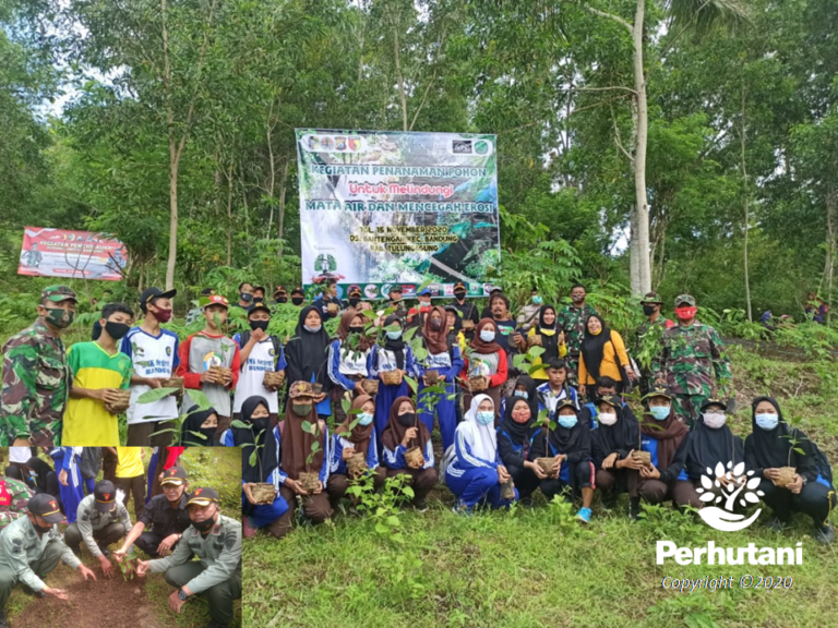 Perhutani Perhutani Bersama Forkopimcam Bandung Trenggalek Adakan Penanaman di Lokasi KPS ...