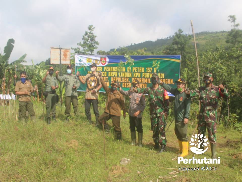Perhutani Perhutani Bersama Stakeholder Lakukan Penanaman Gamal Di