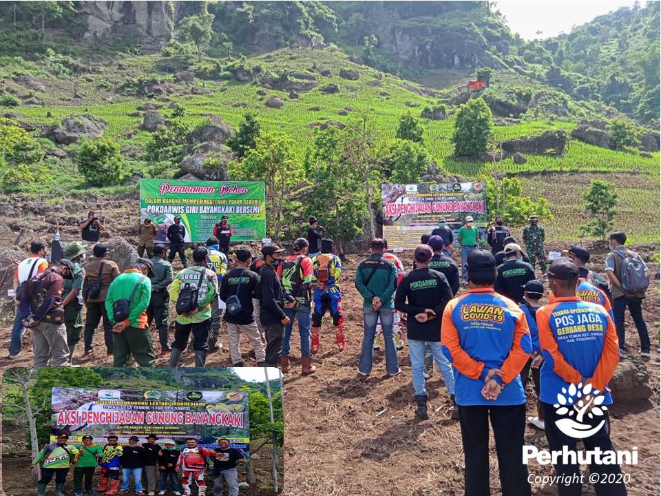 Perhutani Perhutani Bersama Stakeholder Hijaukan Gunung Bayangkaki di Ponorogo