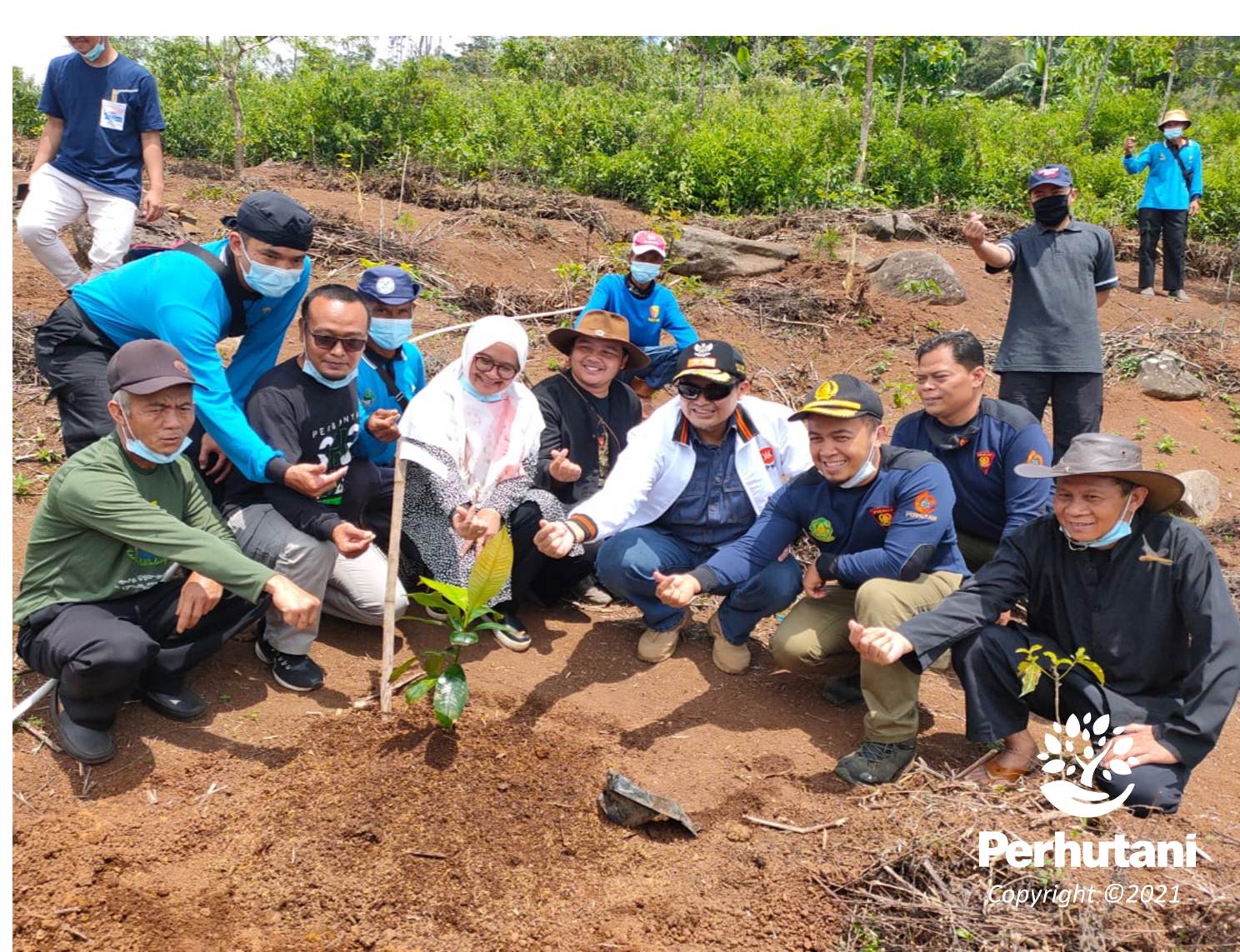 Perhutani Perhutani Bersama Wakil Bupati Bandung Tanam Ratusan Pohon di Manglayang Barat
