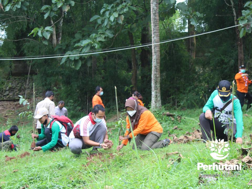 Perhutani Hari Baden Powell ke-164, Saka Wanabakti Binaan Perhutani Hijaukan Buper Candra Birawa