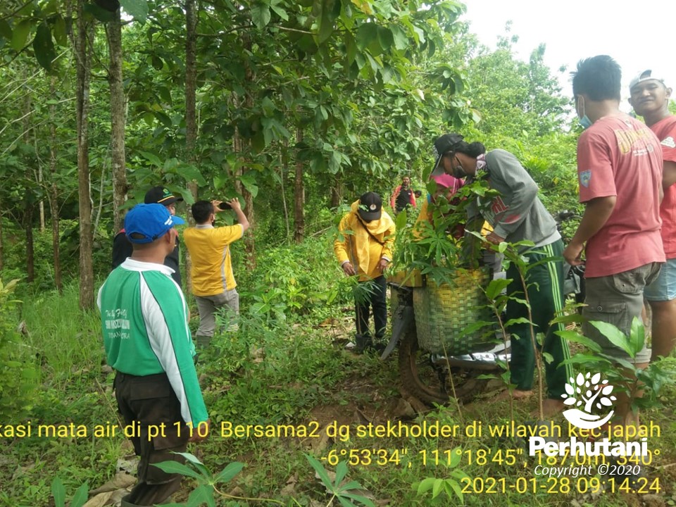 Perhutani Lestarikan Sumber Mata Air, Perhutani dan LSM Pecinta Lingkungan Tanam Pohon Bersama ...