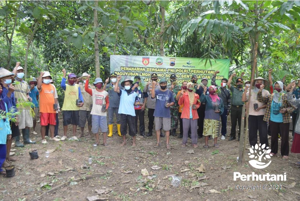 Perhutani Perhutani Bersama Stakeholder Lakukan Penanaman Di Kawasan