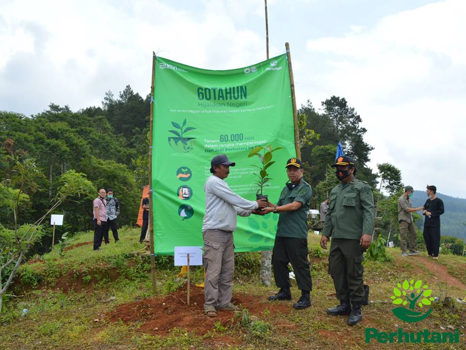 Perhutani Sambut Hari Jadi Ke-60, Perhutani Lakukan Penanaman dan ... Perhutani Sambut Hari Jadi Ke-60, Perhutani Lakukan Penanaman dan ...