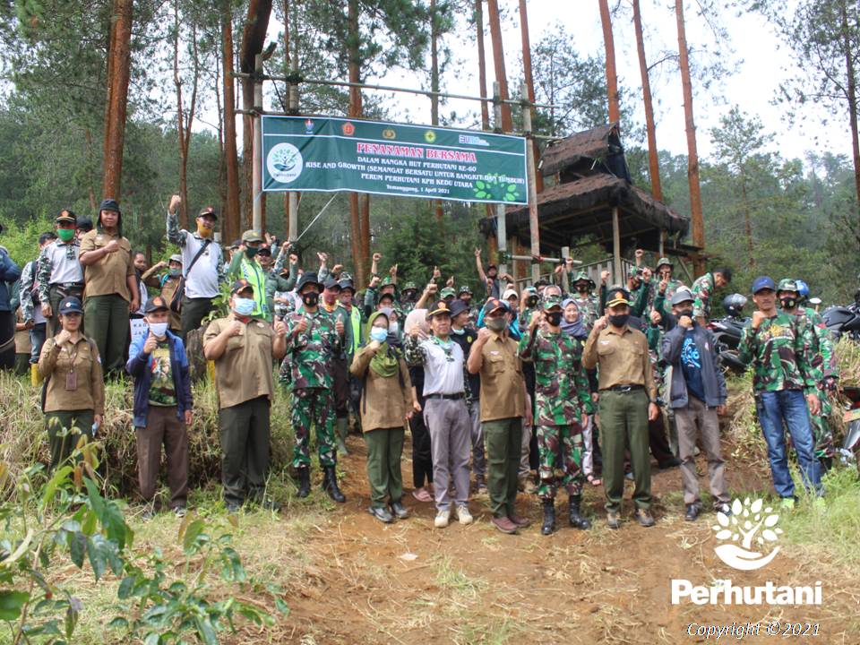 Perhutani Perhutani Tanam Bibit Jambu Bersama Kodim 0706 Temanggung dan Masyarakat - Perhutani