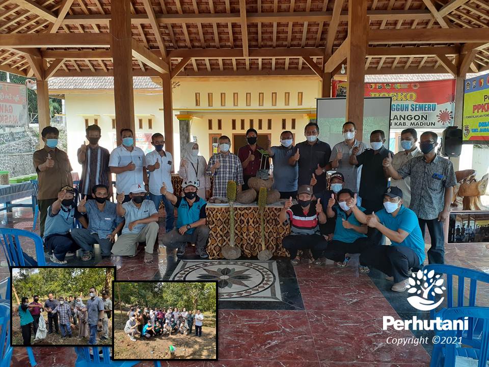 Perhutani Rombongan Kemenko Bidang Perkonomian Kunjungi Lokasi Budidaya ... Perhutani Rombongan Kemenko Bidang Perkonomian Kunjungi Lokasi Budidaya ...