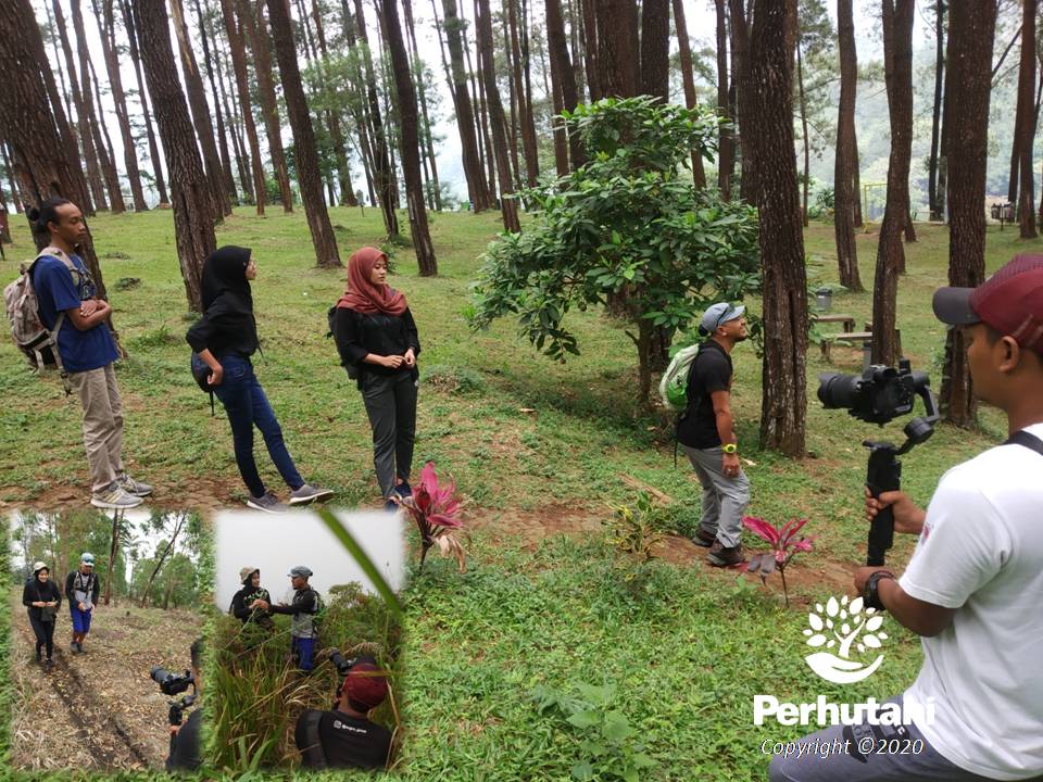 Perhutani Hutan Perhutani Jadi Tempat Syuting Film Dispora Kabupaten ...
