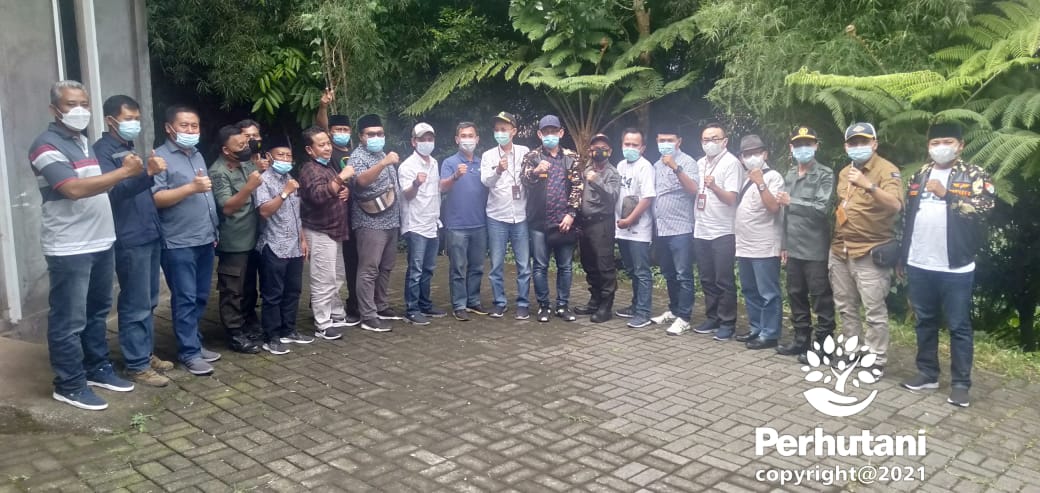 Perhutani Perhutani Kerjasama Penanaman HMT Dengan PT Green Field ...