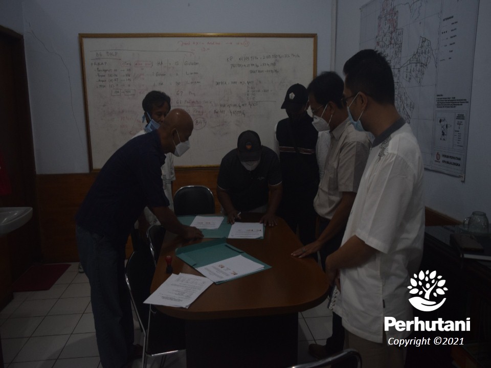 Perhutani Perhutani Bersama Stakeholder Lakukan Kerjasama Budidaya
