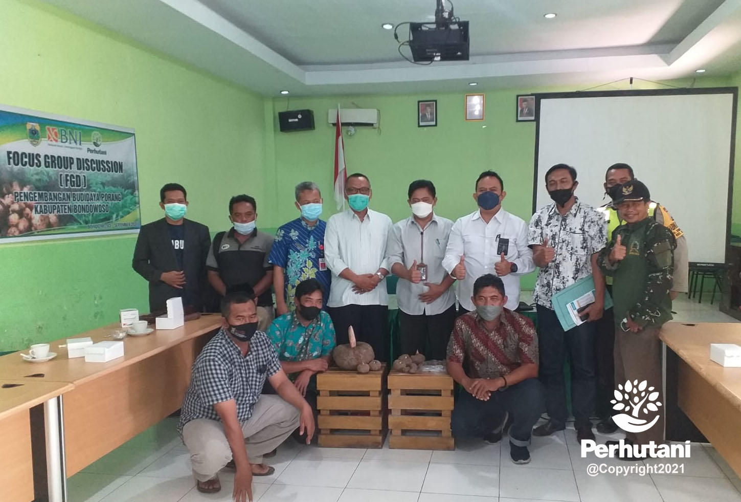 Perhutani Perhutani Dukung Pengembangan Budidaya Porang di Bondowoso Perhutani Perhutani Dukung Pengembangan Budidaya Porang di Bondowoso