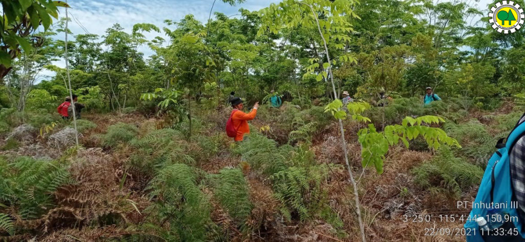 Perhutani Inhutani III Kalsel Terima Kunjungan Tim Terpadu Evaluasi ...