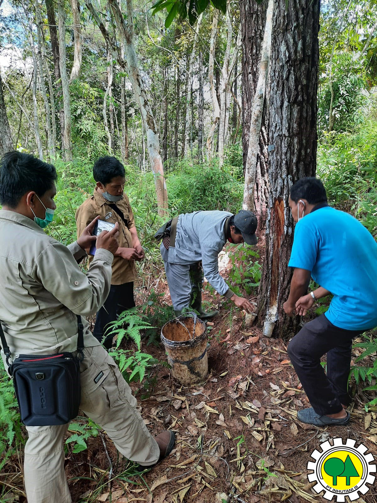 Perhutani Inhutani III Kalbar Terima Kunjungan Tim Evaluasi dan Bintek ...