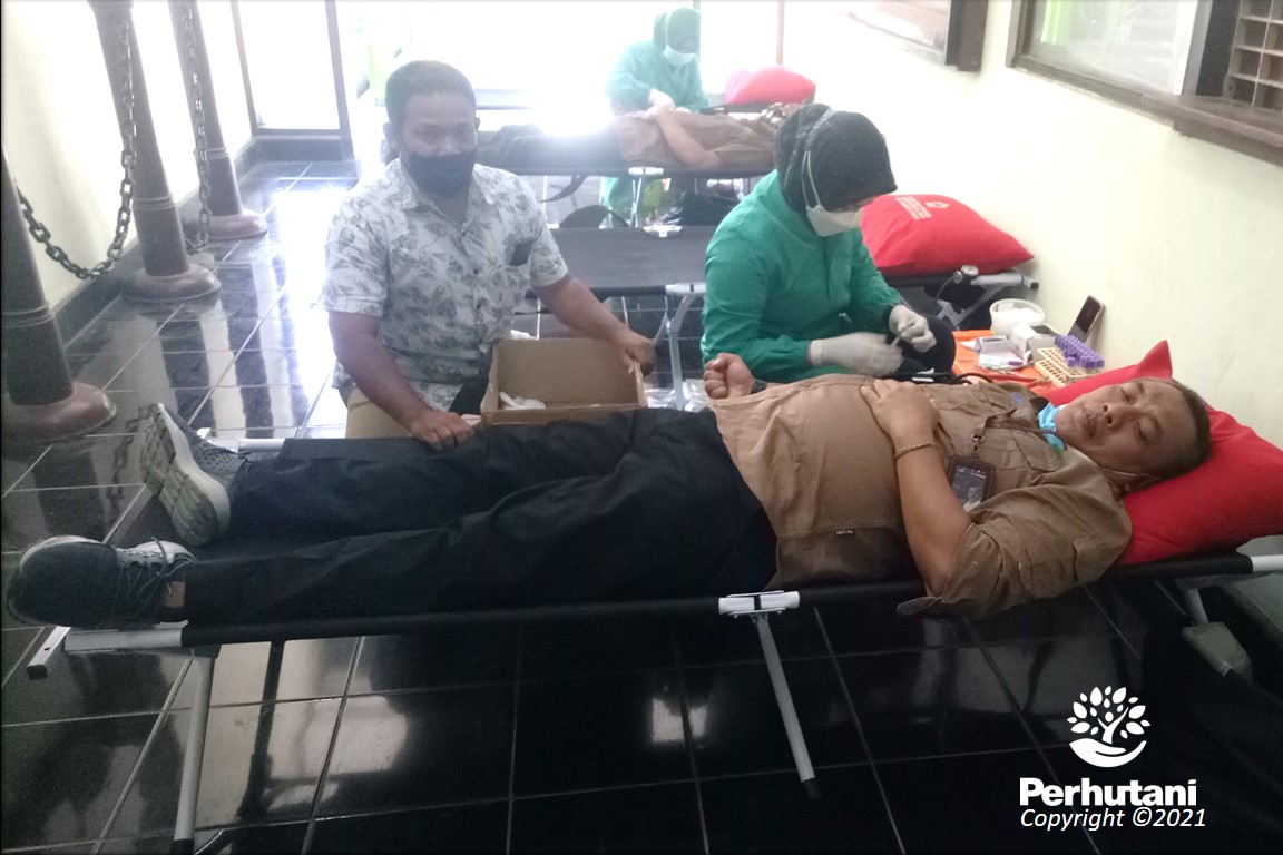 Perhutani Gandeng PMI Cabang Blora, Perhutani Adakan Donor Darah di Randublatung - Perhutani