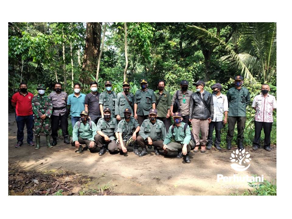 Perhutani Perhutani Lakukan Penyuluhan Hukum Kepada MDH DI Tasikmalaya - Perhutani
