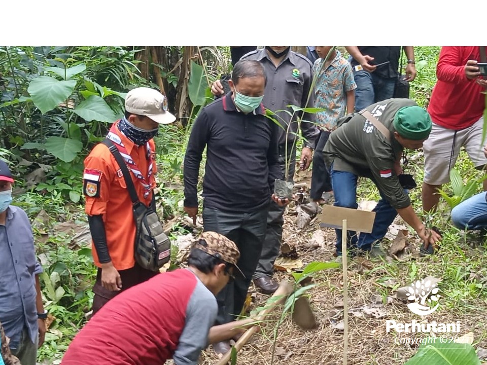 Perhutani Perhutani Ciamis Bersama Stakeholder Lakukan Penanaman Di ... Perhutani Perhutani Ciamis Bersama Stakeholder Lakukan Penanaman Di ...