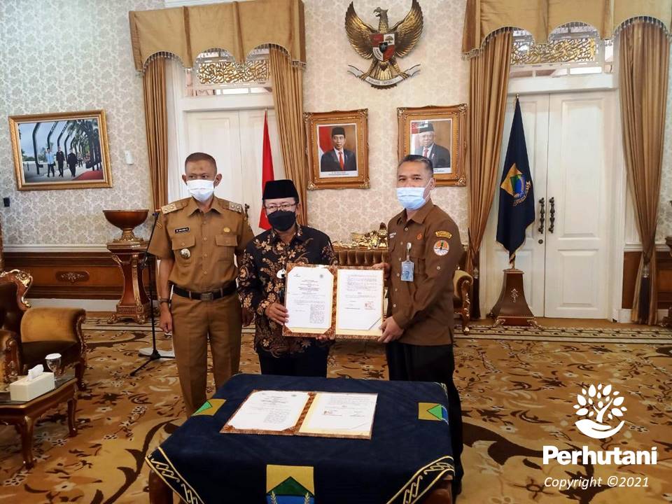 Perhutani Perkuat Sinergitas, Perhutani Bersama Pemkab Cianjur ... Perhutani Perkuat Sinergitas, Perhutani Bersama Pemkab Cianjur ...