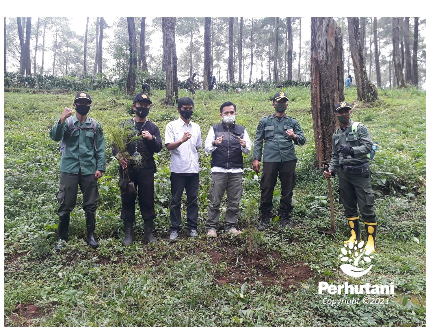 Perhutani Jaga Konservasi Hutan, Perhutani Bersama Stakeholder Tanam Ribuan Bibit Pohon Di Cikole