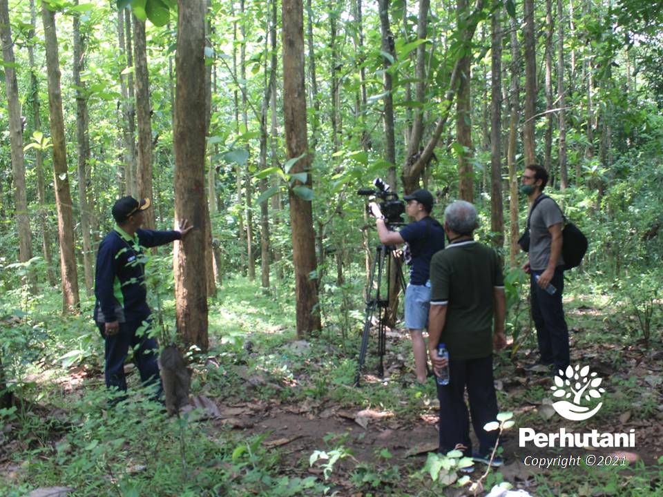 Perhutani Hutan Jati Perhutani Jadi Lokasi Syuting Film Dokumenter TV ...