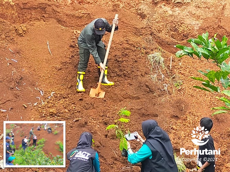 Perhutani Perhutani Bersama Stakeholder Peringati Hcps Dan Menanam