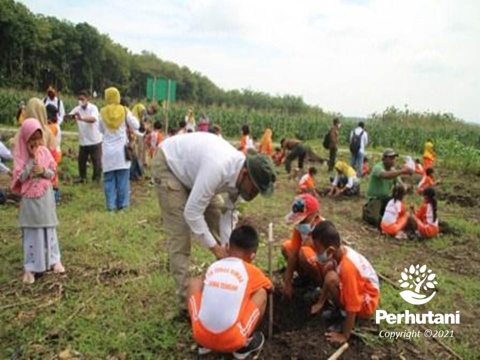 Perhutani Perhutani Ajak Siswa Tk Tunas Rimba Menanam Ratusan Bibit Di