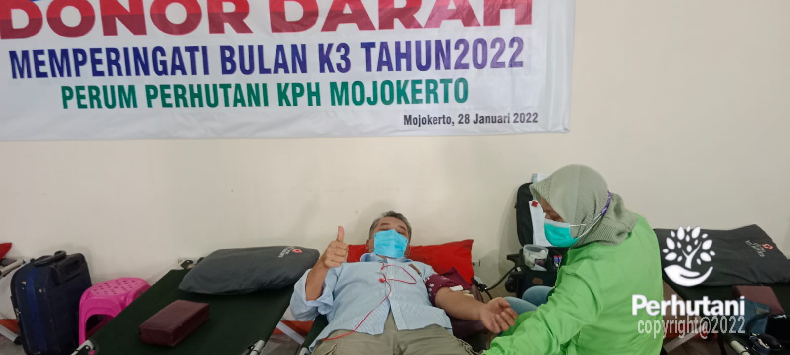 Perhutani Peringati Bulan K3 Nasional 2022, Perhutani Mojokerto Gelar Aksi Donor Darah - Perhutani