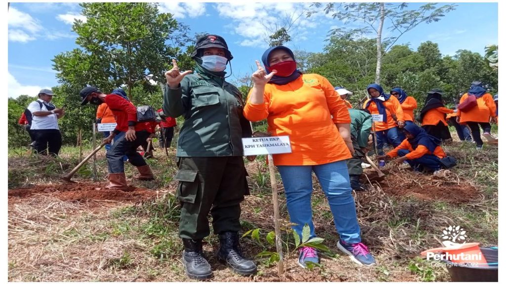 Perhutani PERHUTANI DUKUNG IIK-P DAN MDH LAKUKAN PENANAMAN POHON BERSAMA DI TASIKMALAYA - Perhutani