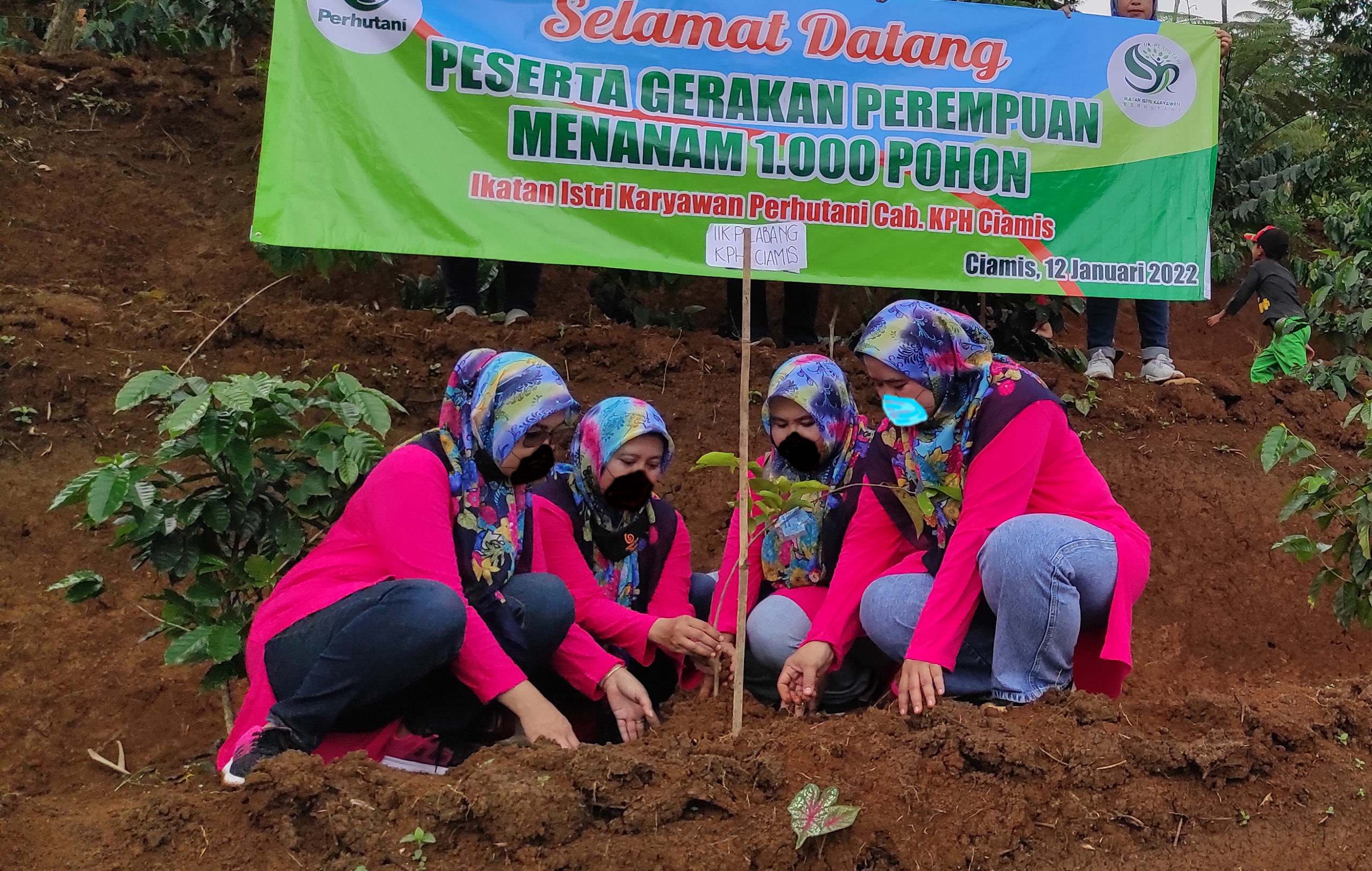 Perhutani IKATAN ISTRI KARYAWAN PERHUTANI KPH CIAMIS PEDULI HUTAN ... Perhutani IKATAN ISTRI KARYAWAN PERHUTANI KPH CIAMIS PEDULI HUTAN ...