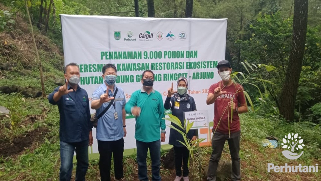Perhutani Perhutani Bersama Stakeholder Tanam 9.000 Bibit Pohon Di Daerah Tangkapan Air