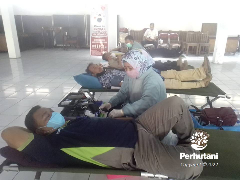 Perhutani Perhutani Bersama PMI Adakan Kegiatan Sosial Donor Darah di Kendal - Perhutani