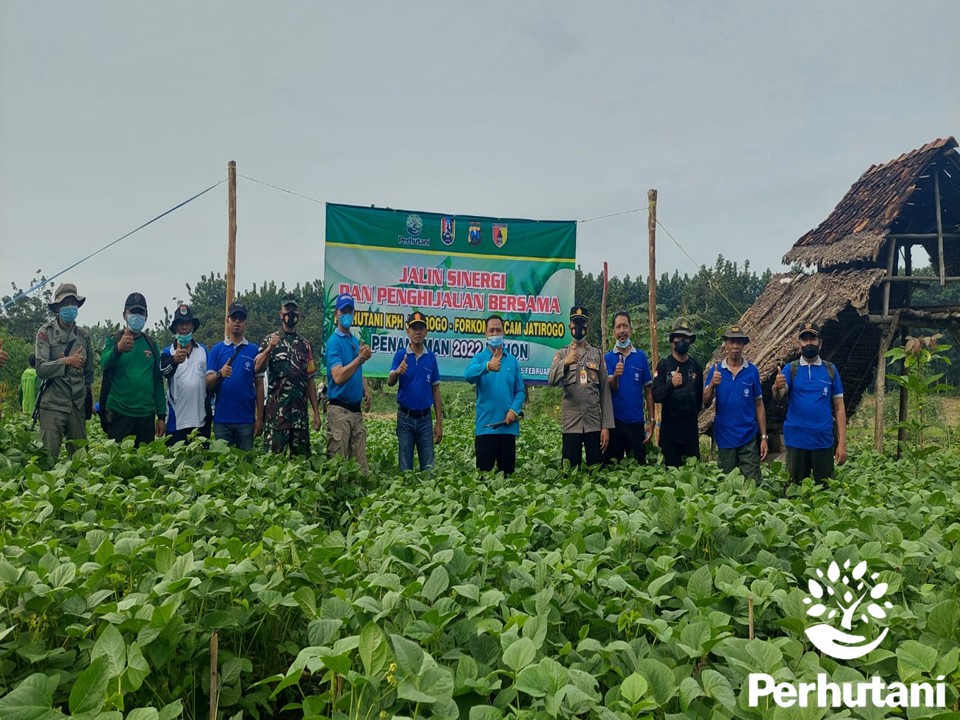 Perhutani Bersinergi Hijaukan Hutan, Perhutani Tanam 2022 Pohon Jati Di ... Perhutani Bersinergi Hijaukan Hutan, Perhutani Tanam 2022 Pohon Jati Di ...