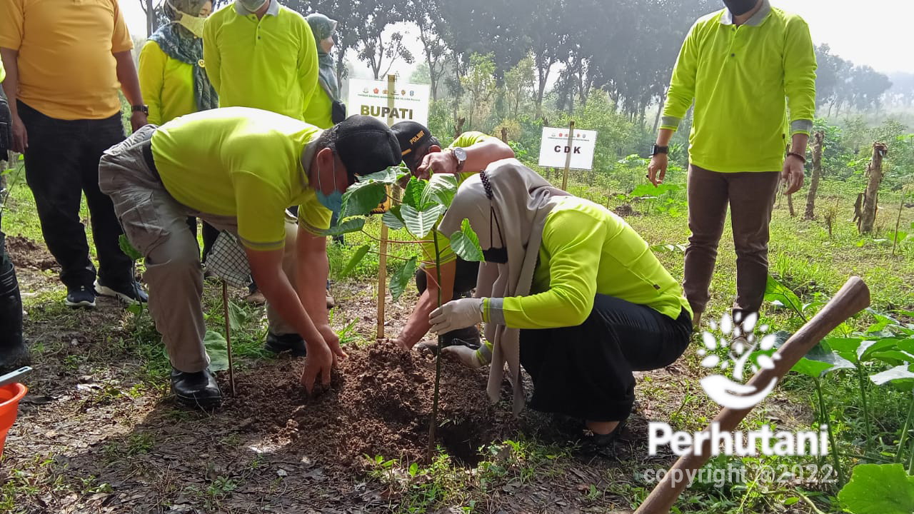 Perhutani Perhutani Dan Bupati Mojokerto Tanam Bersama Dengan Sejuta Pohon
