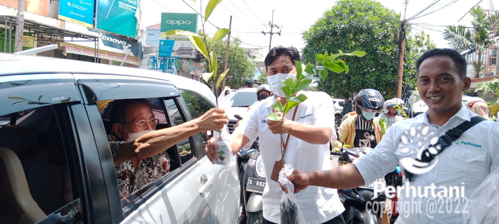Perhutani Peringati Hari Jadi Ke 61, Perhutani Mojokerto Bagikan Bibit ... Perhutani Peringati Hari Jadi Ke 61, Perhutani Mojokerto Bagikan Bibit ...
