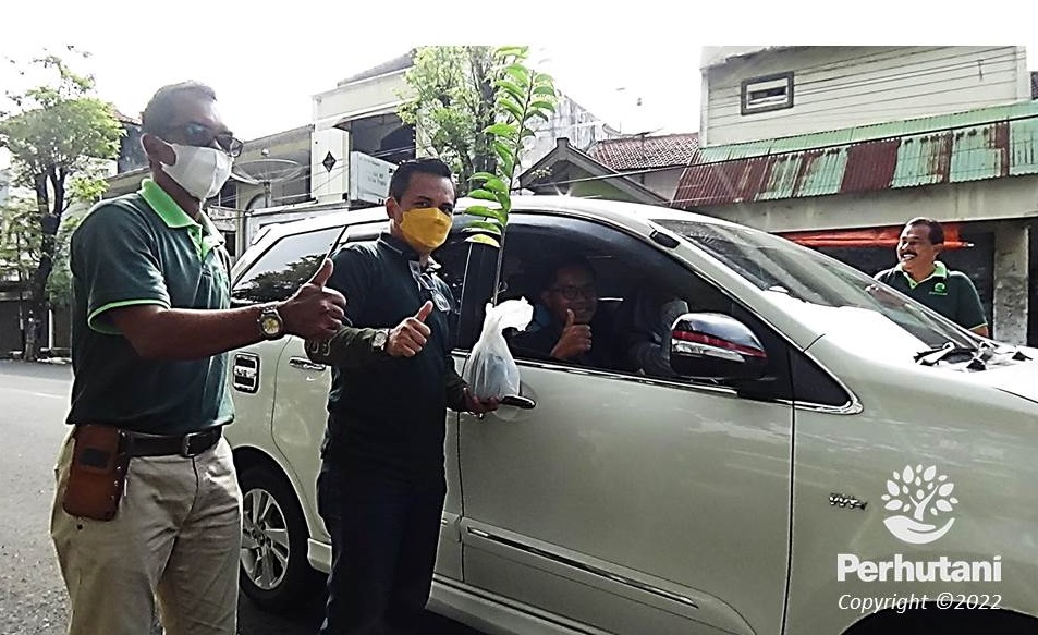 Perhutani Peringati Hari Jadi Ke-61, Perhutani Bagikan Bibit Kepada ... Perhutani Peringati Hari Jadi Ke-61, Perhutani Bagikan Bibit Kepada ...