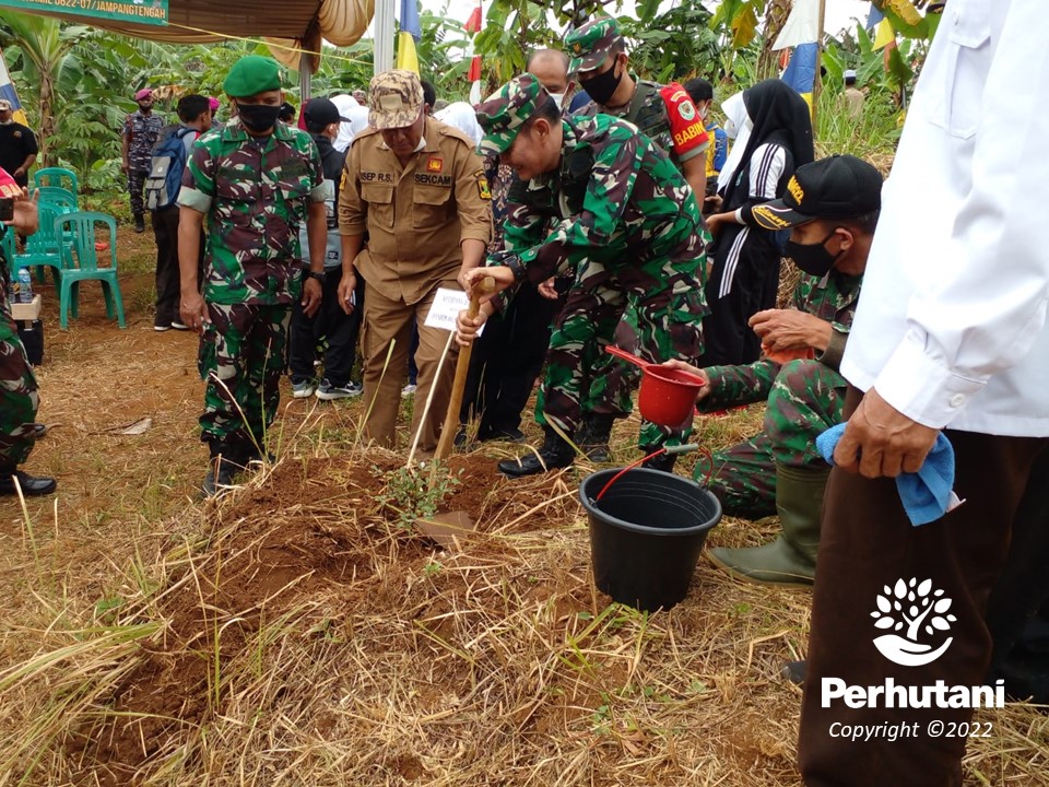 Perhutani Peduli Lingkungan, Perhutani Bersama Stakeholder Lakukan ... Perhutani Peduli Lingkungan, Perhutani Bersama Stakeholder Lakukan ...