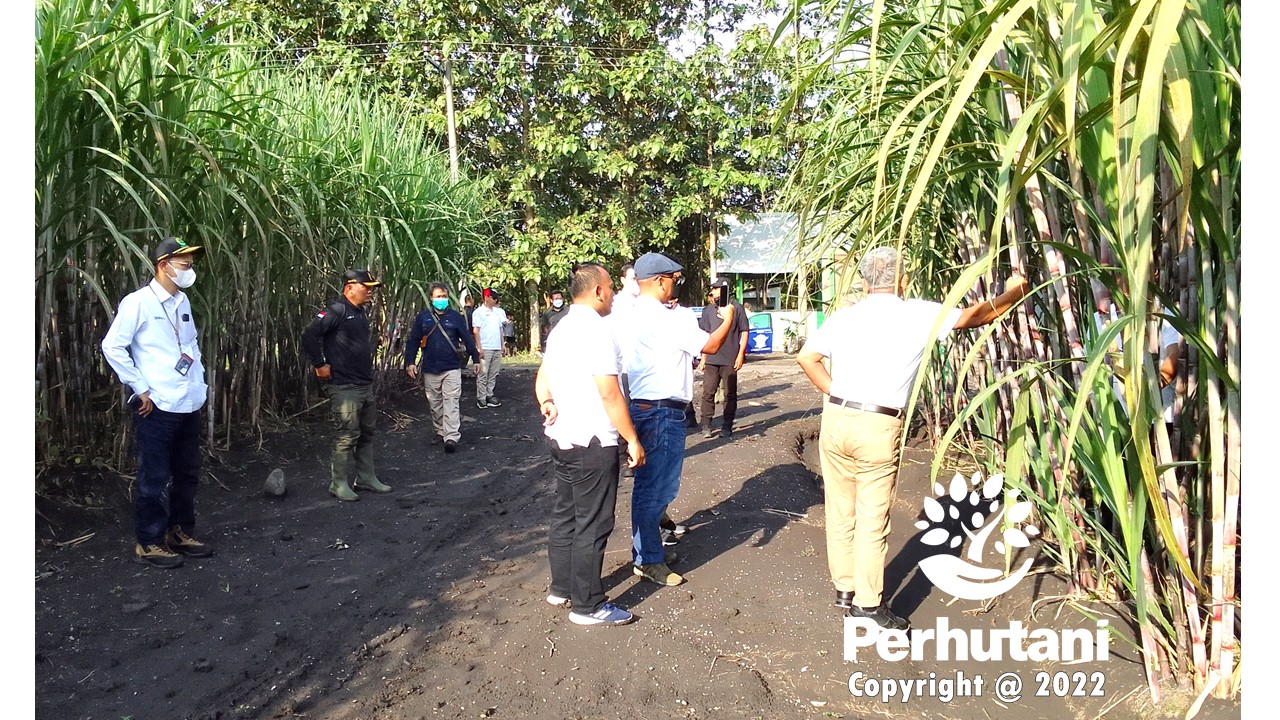 Perhutani Kunjungi Perhutani, Asdep Kementerian BUMN Pastikan Progres ATM Di Jombang - Perhutani