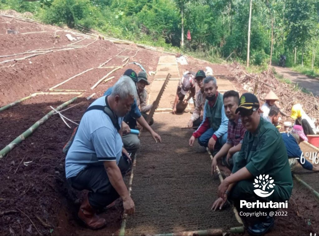 Perhutani Perhutani KPH Bandung Utara Tabur Benih Jati Di BKPH Padalarang