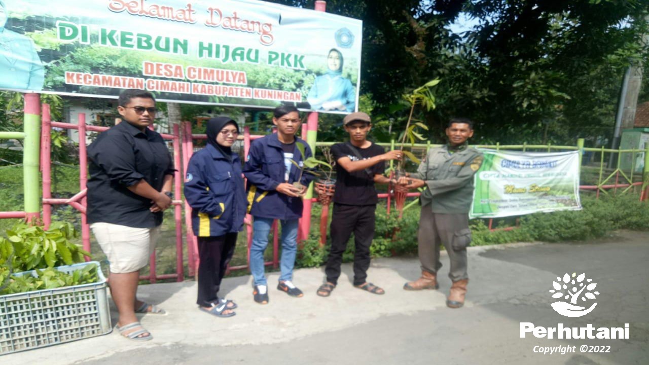 Perhutani Perhutani Kuningan Berikan Bibit Kepada Mahasiswa Universitas ...