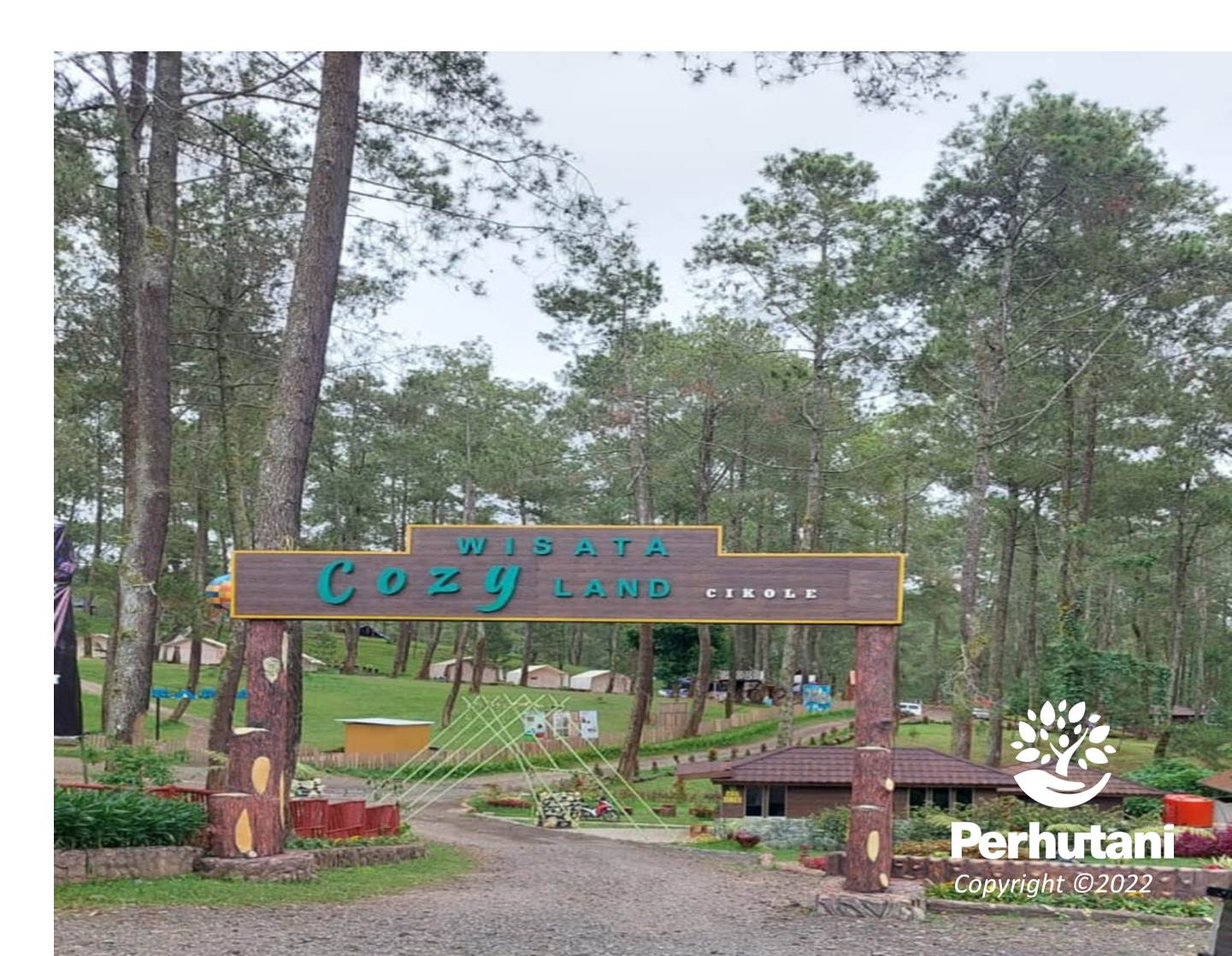 Perhutani Cozy Land, Wisata Hutan Pinus Yang Di rekomendasi Untuk ...