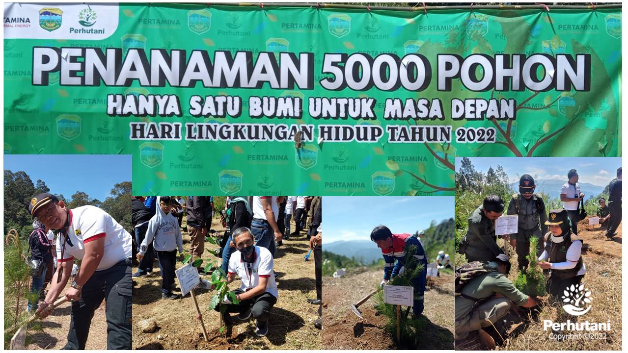 Perhutani Peringati Hari Lingkungan Hidup Sedunia, Perhutani Bersama ...
