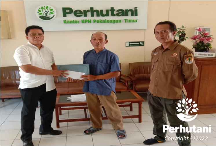 Perhutani Perhutani Berikan Santunan Untuk Mitra Kerja Penyadap Dan